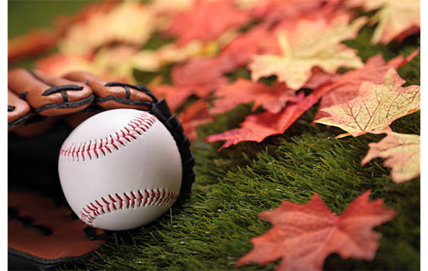 Home [www.mjbsa.com]